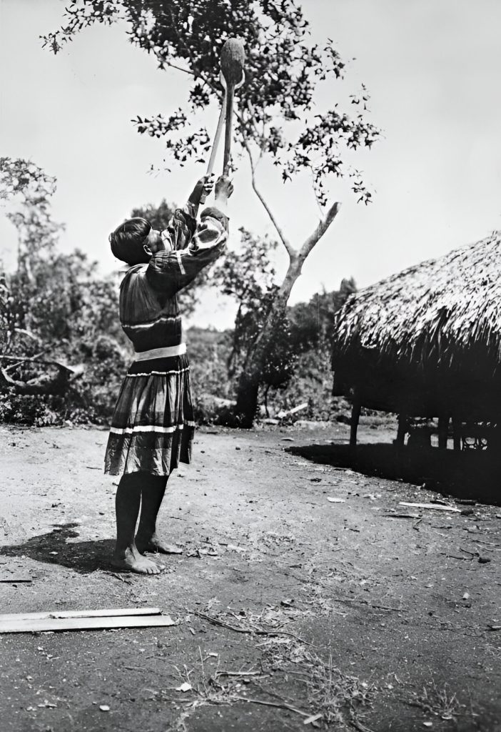 Afro Native American Tribes
